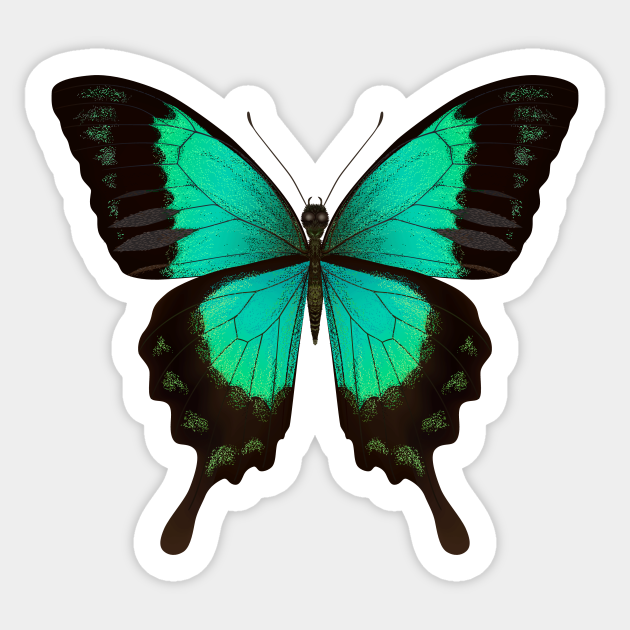 Beautiful butterfly - Butterfly - Sticker | TeePublic