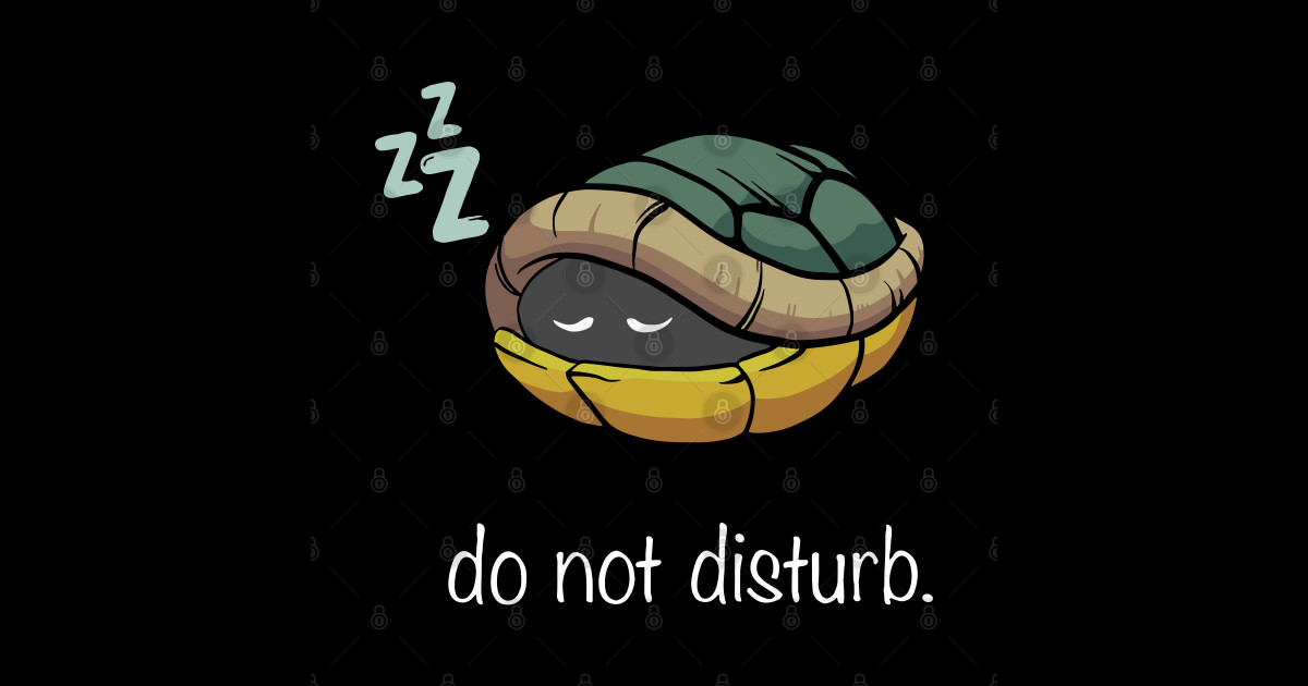 Do Not Disturb Sleeping Turtle - Do Not Disturb Sleeping Turtle ...