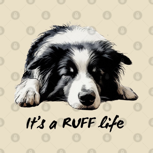It's a RUFF Life - Border Collie - A Border Collies Ruff Life - T-Shirt ...
