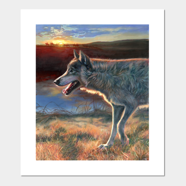 Two Socks - Dances with Wolves - Two Socks - Posters and Art Prints ...