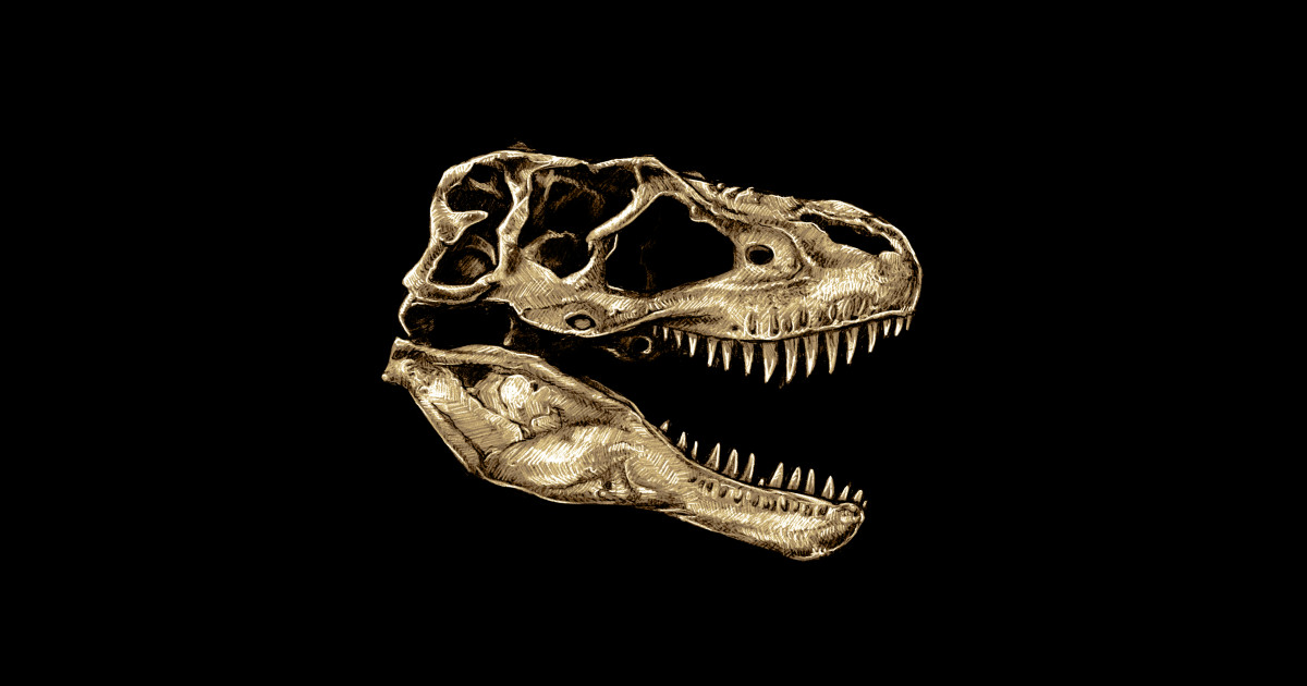 Dinosaur Skull Albertosaurus Sticker - Albertosaurus - Sticker | TeePublic