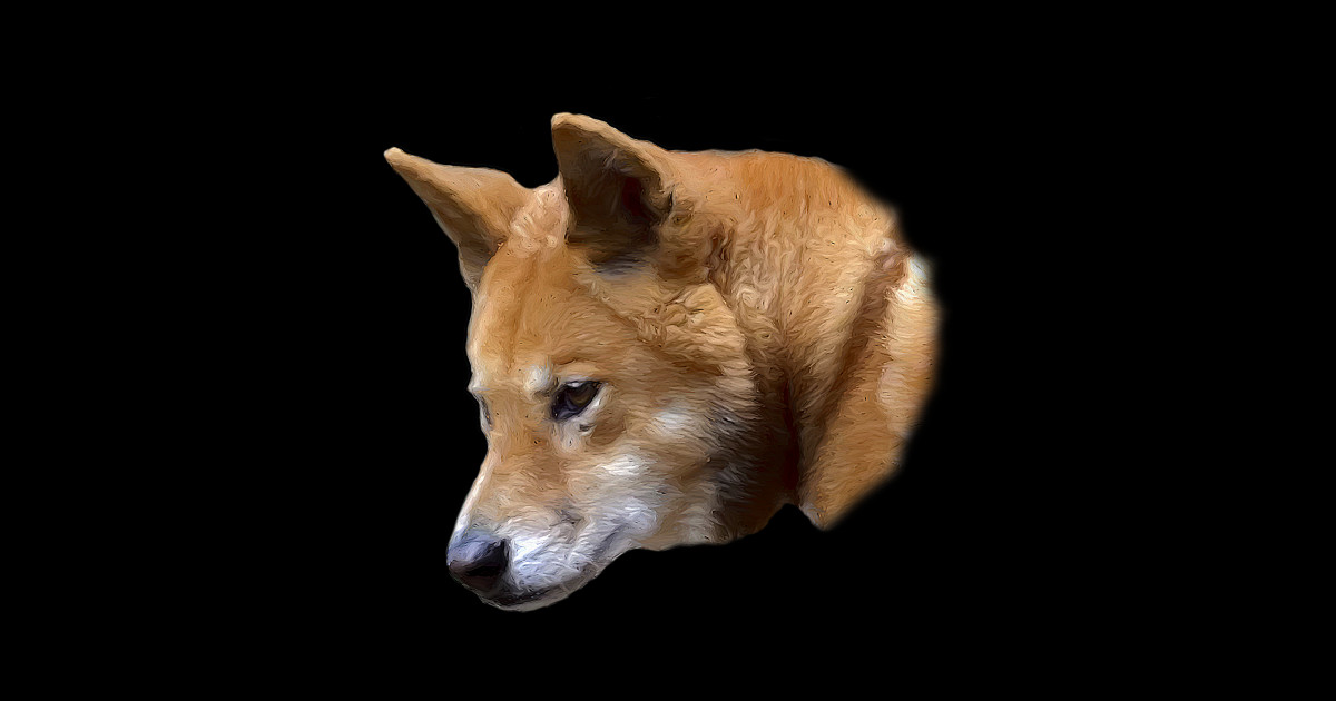 Dingo - Dingo - Sticker | TeePublic