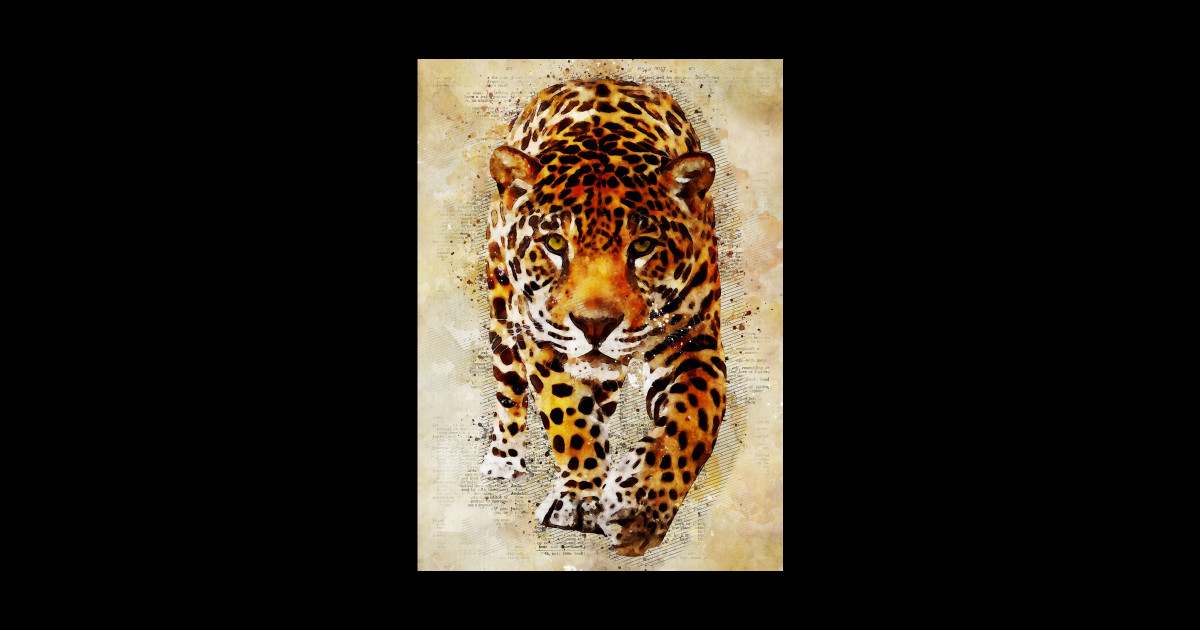 Leopard - Leopard - Sticker | TeePublic