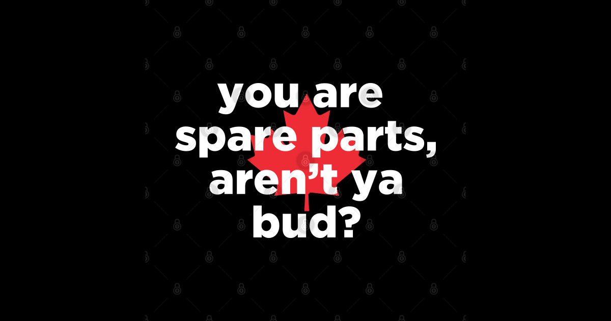 you are spare parts aren't ya bud? - Letterkenny - Sticker | TeePublic
