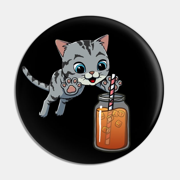 American Shorthair Cat excited to drink Iced Tea - American Shorthair ...