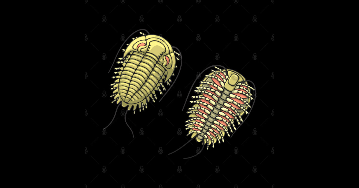 Colored Trilobite Illustration - Trilobite - Sticker | TeePublic