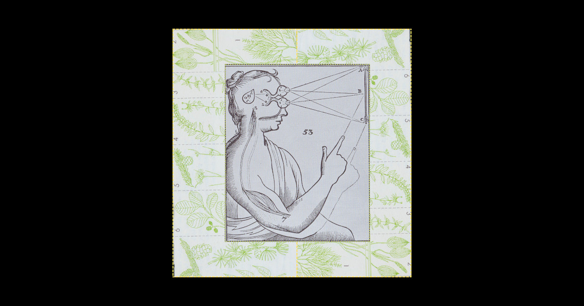 Cartesian collage - Descartes - Sticker | TeePublic