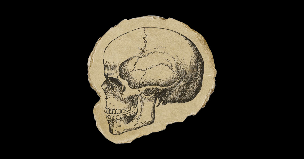 vintage skeleton drawing on paper cutout - Vintage - Sticker | TeePublic