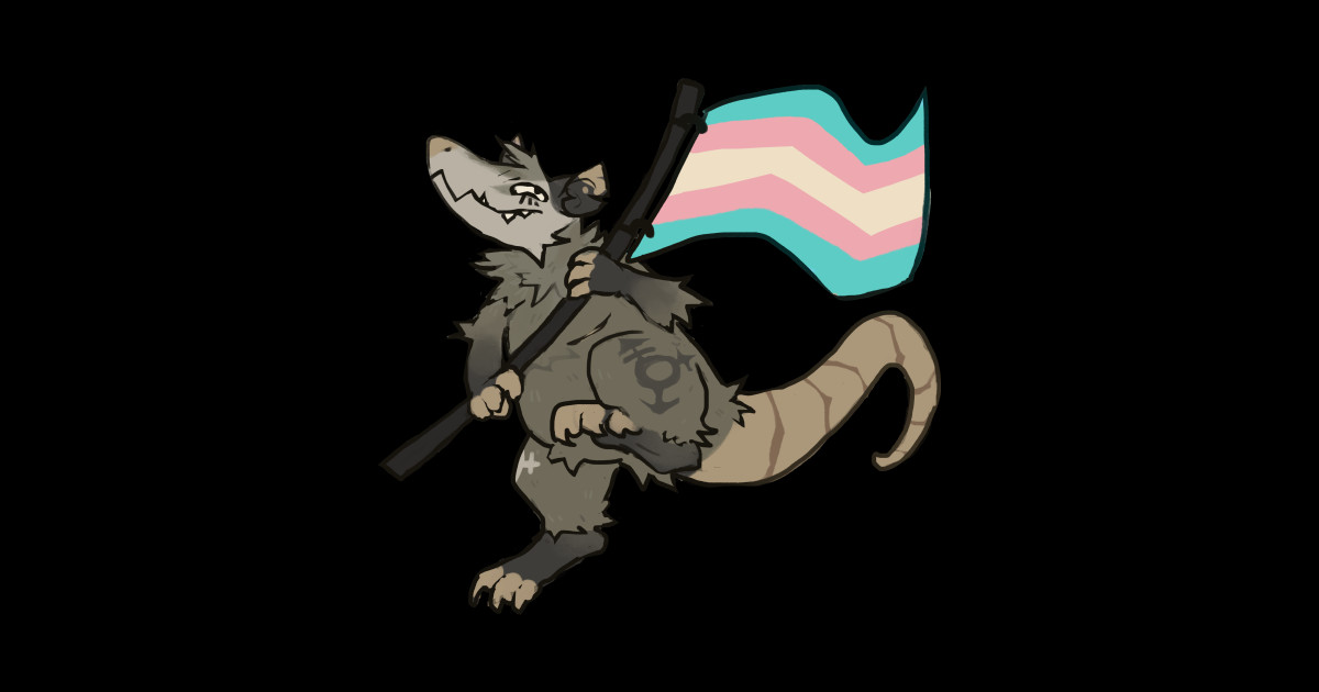 Trans Rights Opossum - Transgender - Sticker | TeePublic
