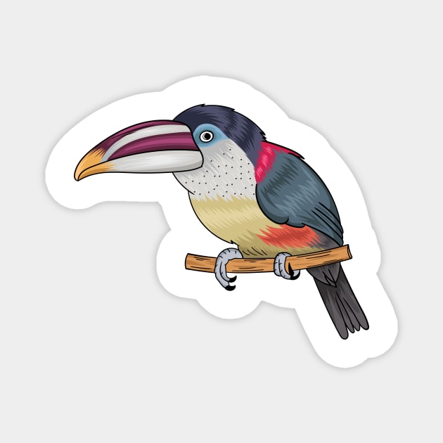 Curl crested aracari bird cartoon illustration - Curl Crested Aracari ...