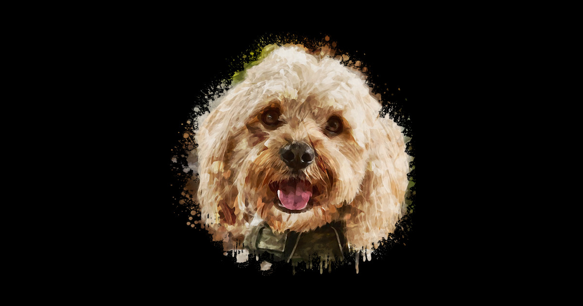 Cavapoo watercolor - Cavapoo - Sticker | TeePublic
