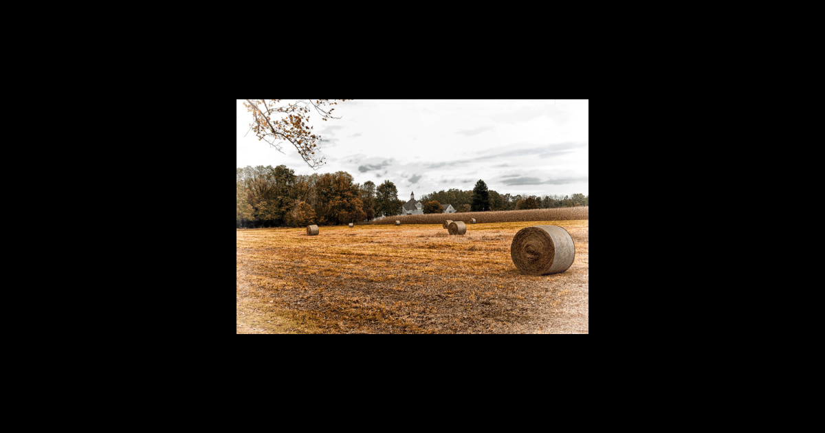 Harvest Time - Hay Bales - Harvest - Sticker | TeePublic