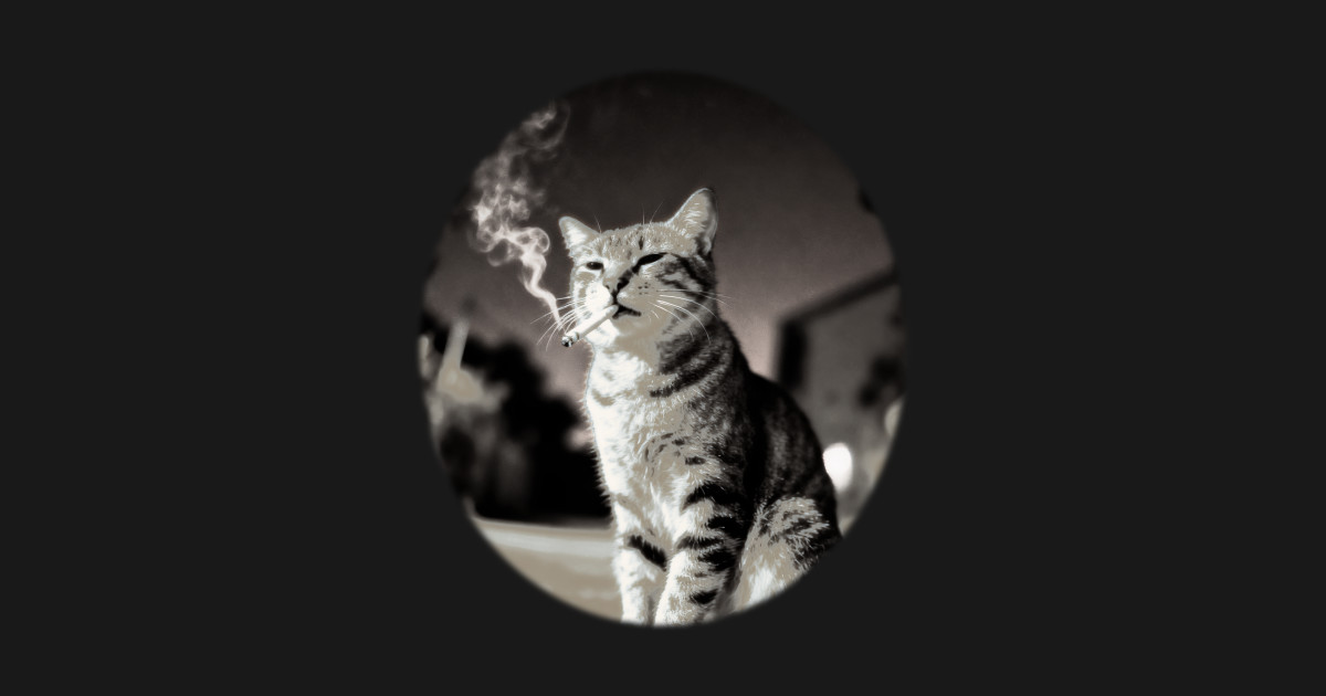 Funny Smoking Cat Cigarette Kitty Gen Z Meme - Smoking Cat - T-Shirt ...
