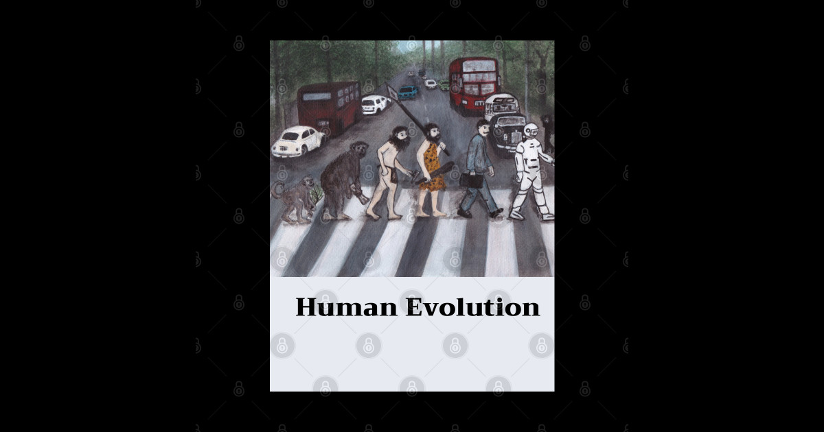 Human Evolution - Vintage Retro - Sticker | TeePublic