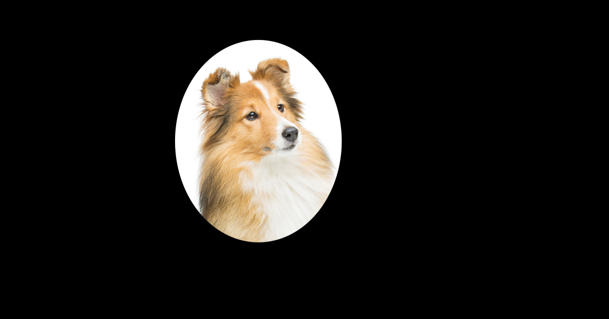 Sheltie Mom - Sheltie - Sticker | TeePublic
