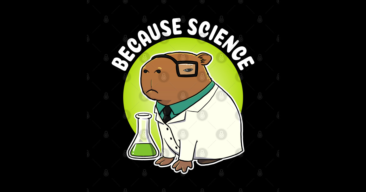 Because Science Capybara Science Because Science Sticker Teepublic
