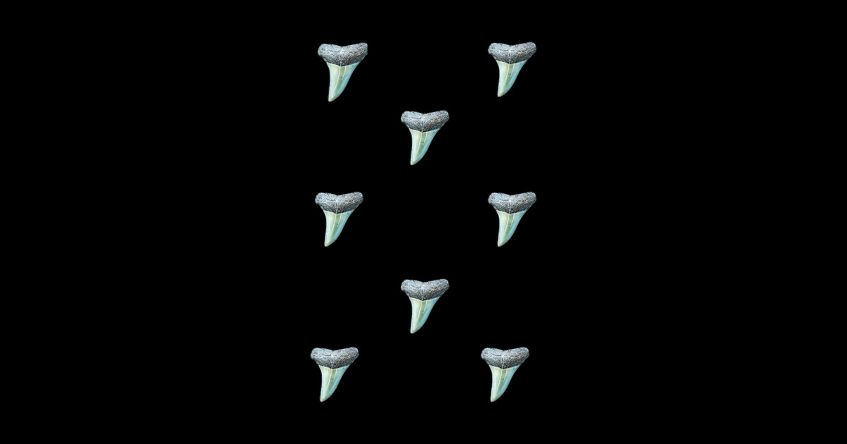 Shark Tooth Pattern - Fossils - Posters and Art Prints | TeePublic