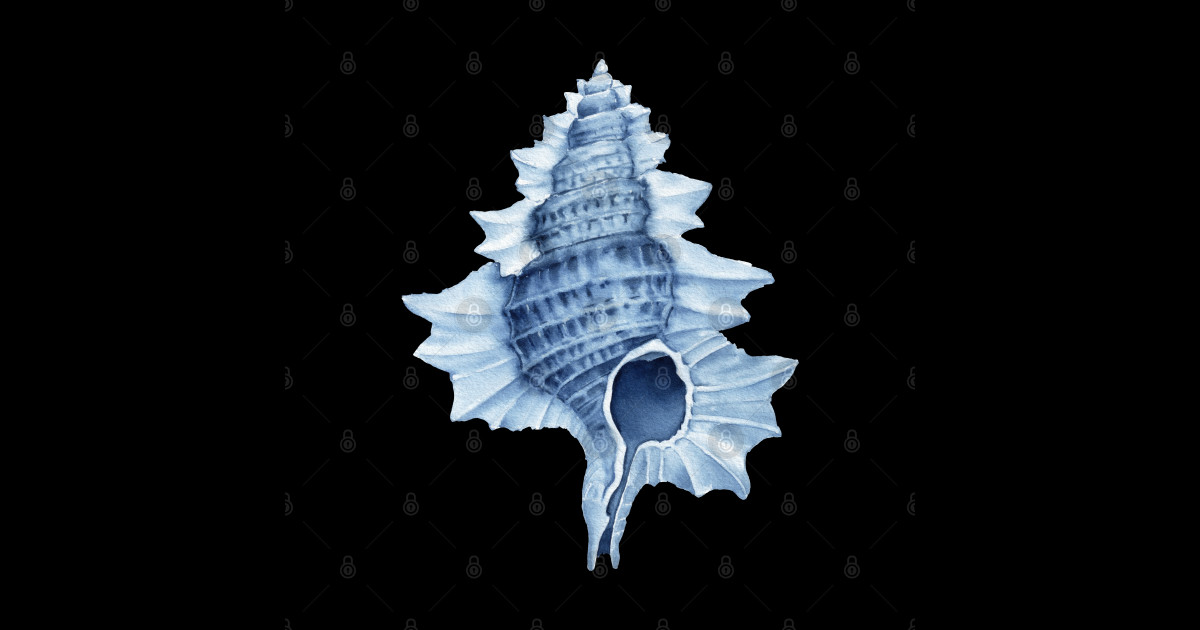 Blue watercolour seashell. - Shell Art - Sticker | TeePublic