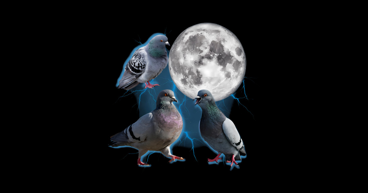 Funny Three Pigeons Howling at the Moon Bird Lover Birder - Funny Three ...