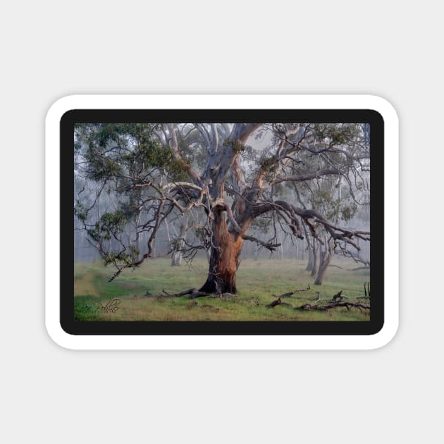 My favourite tree - Tree - Magnet | TeePublic