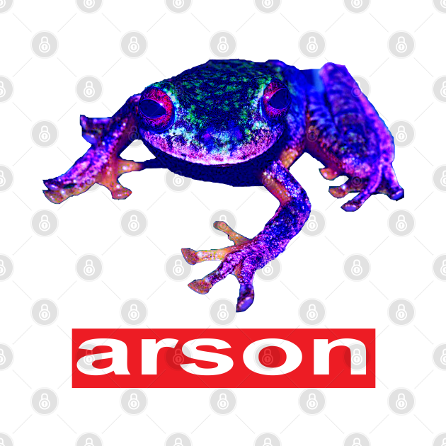 ARSON FROG - Arson Frog - T-Shirt | TeePublic