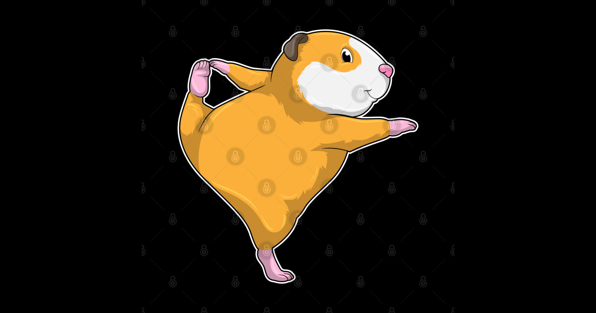 Guinea pig at Yoga Stretching exercise - Yoga - Magnet | TeePublic