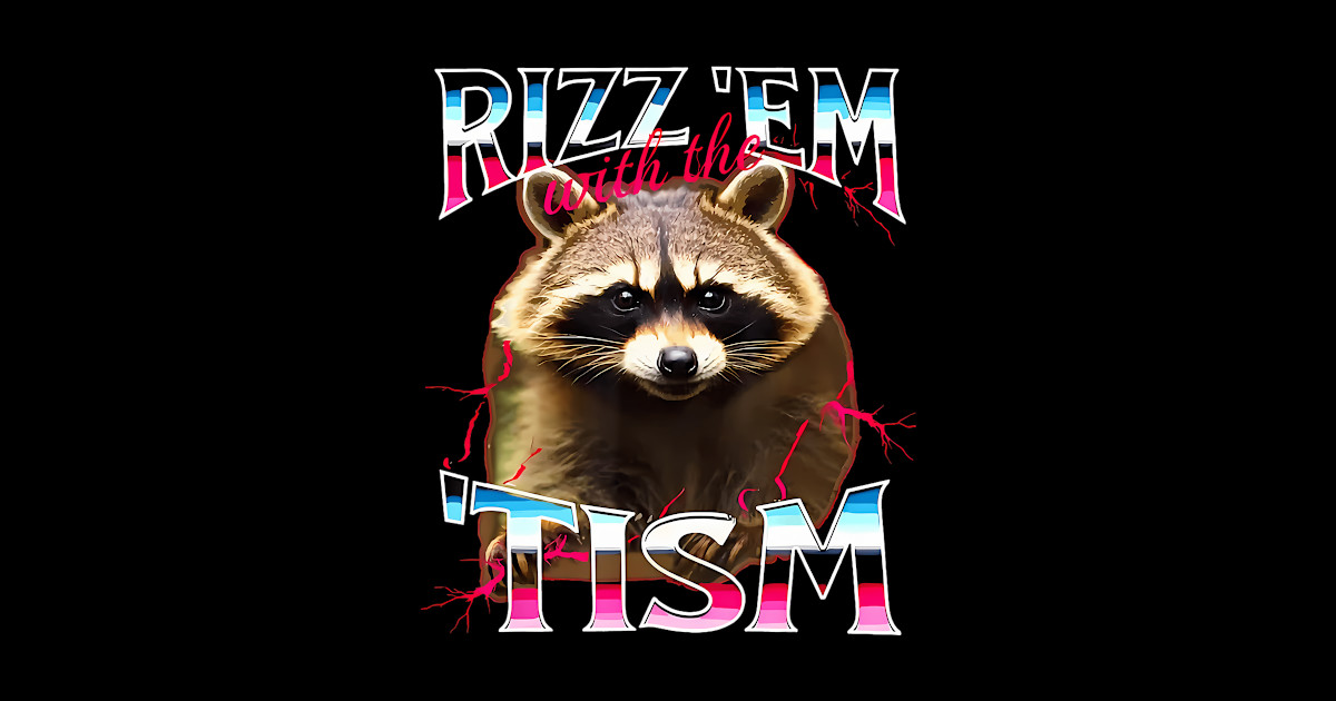 Autism Funny Rizz Em With Tism Meme Autistic Racoon - Rizz Em With The ...
