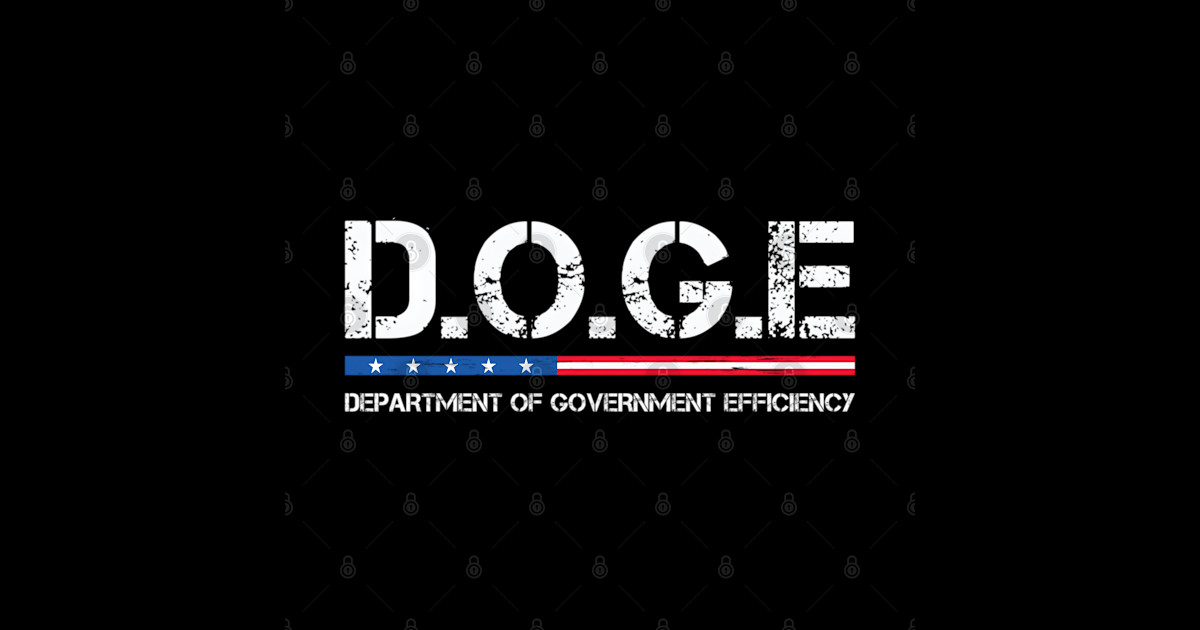 DOGE-Department-Of-Government-Efficiency - Doge Department Of ...