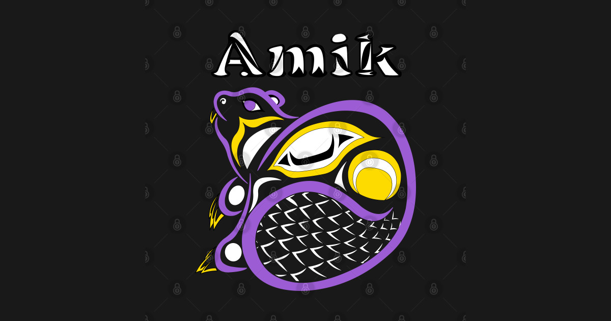 Amik (Beaver) Non-Binary Pride - Nonbinary - T-Shirt | TeePublic