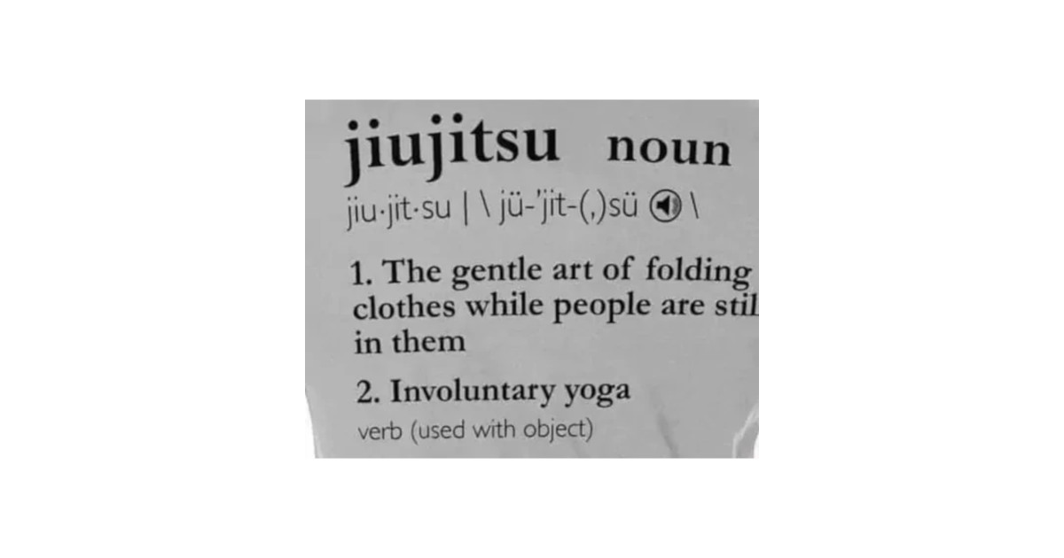Jiu-Jitsu: The Art of Folding Clothes (With People in Them) Meme - Meme ...