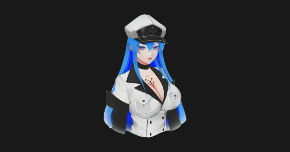 Akame Ga Kill Aesthetic Esdeath Waifu - Akame Ga Kill Aesthetic Esdeath ...