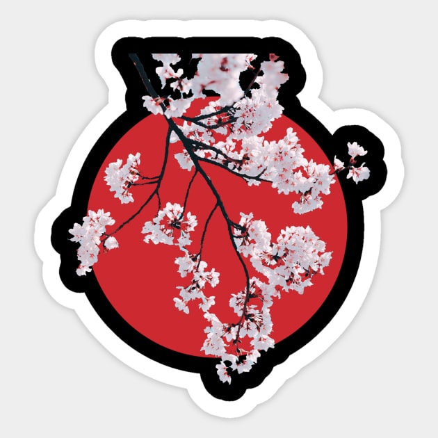 Sakura Cherry Blossoms - Sakura - Sticker | TeePublic