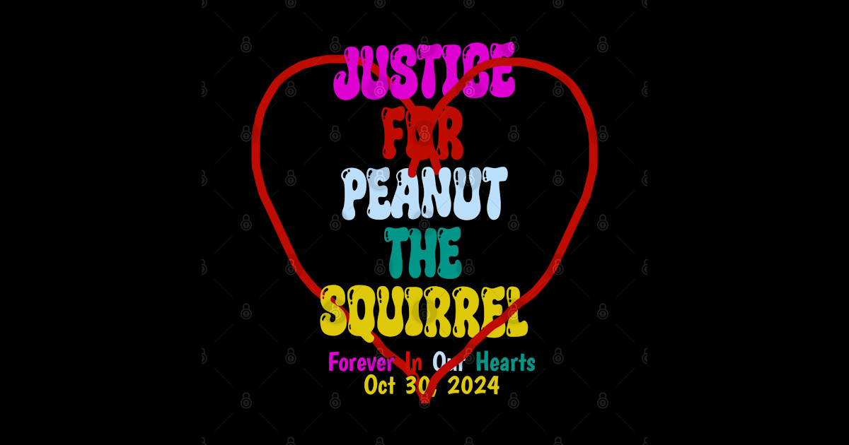 Justice For Peanut The Squirrel - Forever in on Hearts - Justice For ...