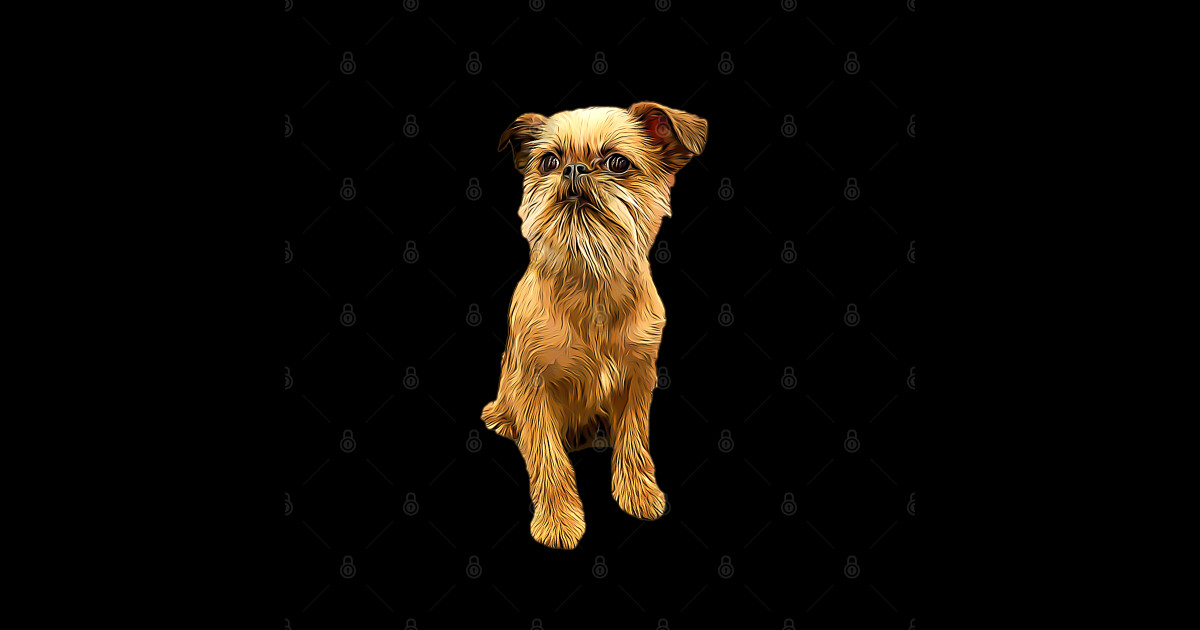Brussels Griffon Bruxellois Cute Puppy Dog - Griffon Bruxellois ...
