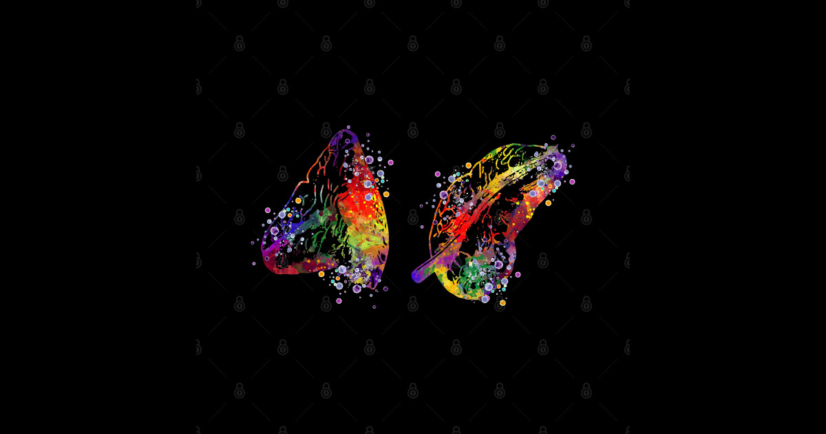 Adrenal Gland Colorful Watercolor Drawing - Adrenal Art - Sticker ...