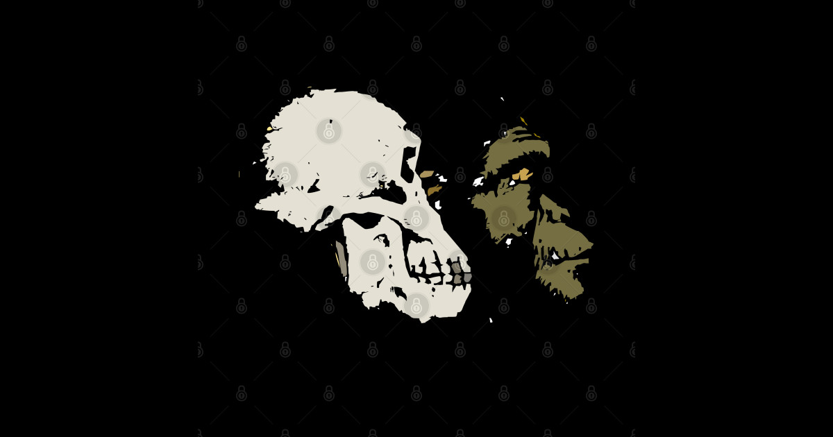 Vintage Evolution skull ape monkey - Evolution - Posters and Art Prints ...