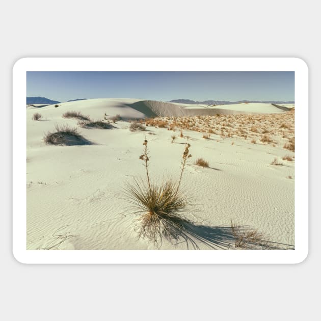 White Sand Landscape - Sand Dunes - Sticker | TeePublic