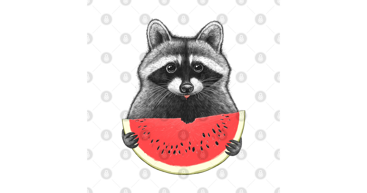 Raccoon eating watermelon - Raccoon - T-Shirt | TeePublic