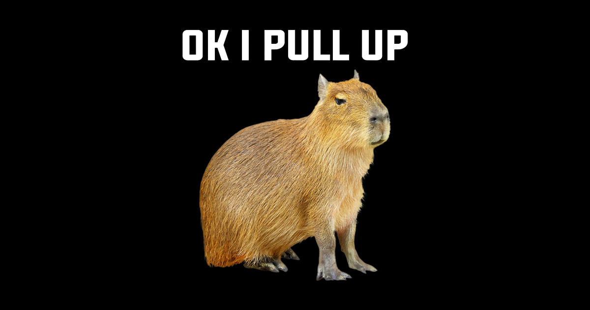 ok i pull up capybara costume capybara ok i pull up - Capybara ...