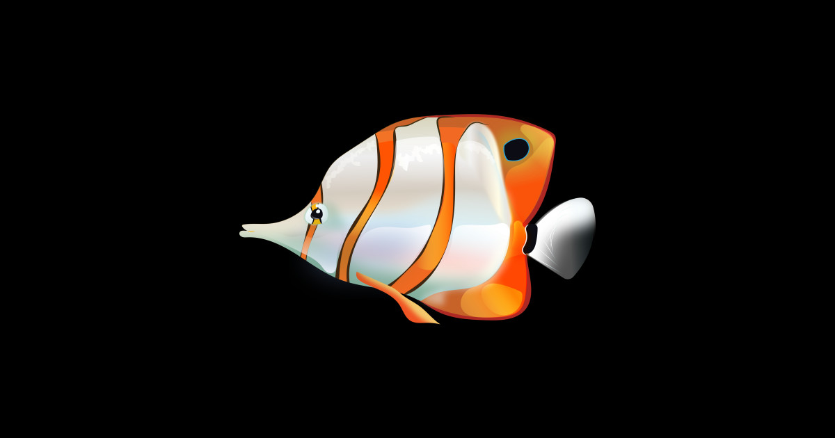 Angel Fish - Angel Fish - Sticker | TeePublic