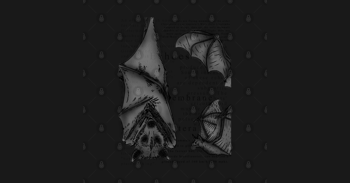 Sketches Of Bats Over A Text Background - Bat Sketch Texture - T-Shirt ...