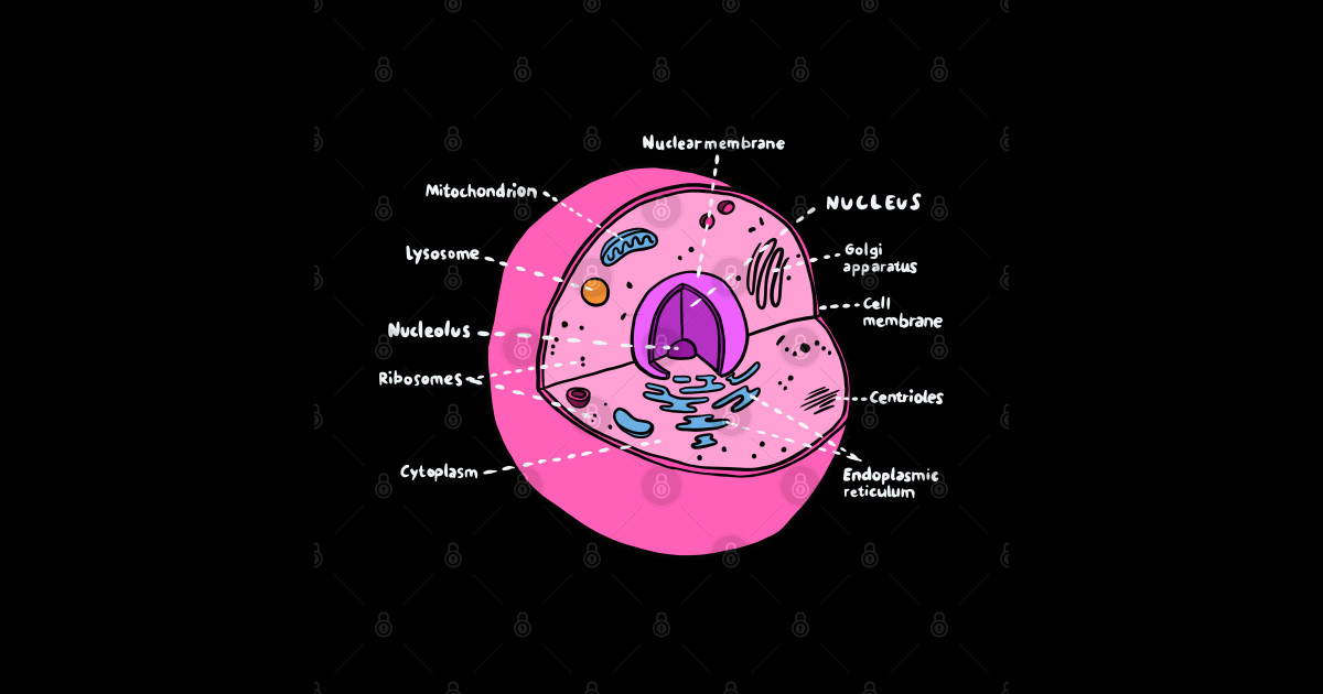 Cell (Biology Poster) - Cell - Posters and Art Prints | TeePublic