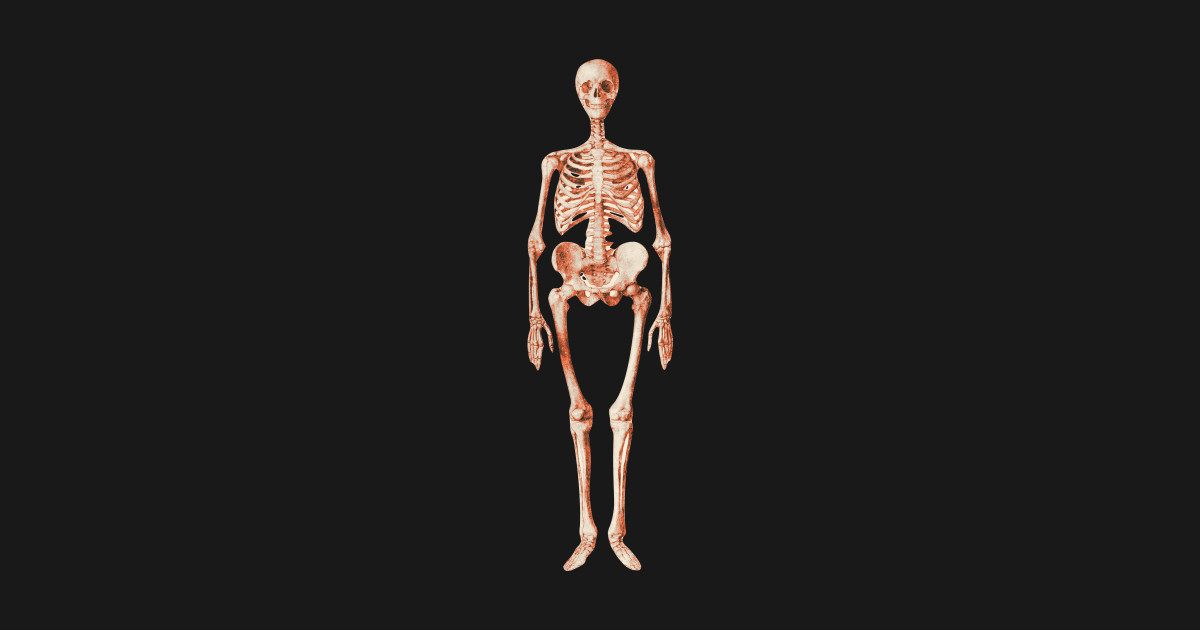 Classic skeleton - Skeleton - T-Shirt | TeePublic