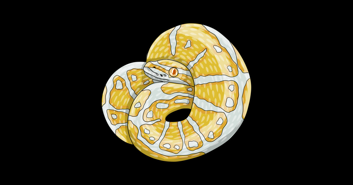 Albino Ball Python - Albino - Sticker | TeePublic