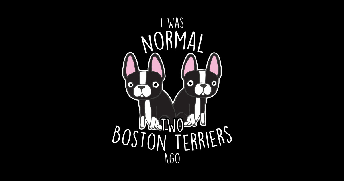 Boston Terrier Dog Normal - Boston Terrier - Sticker | TeePublic