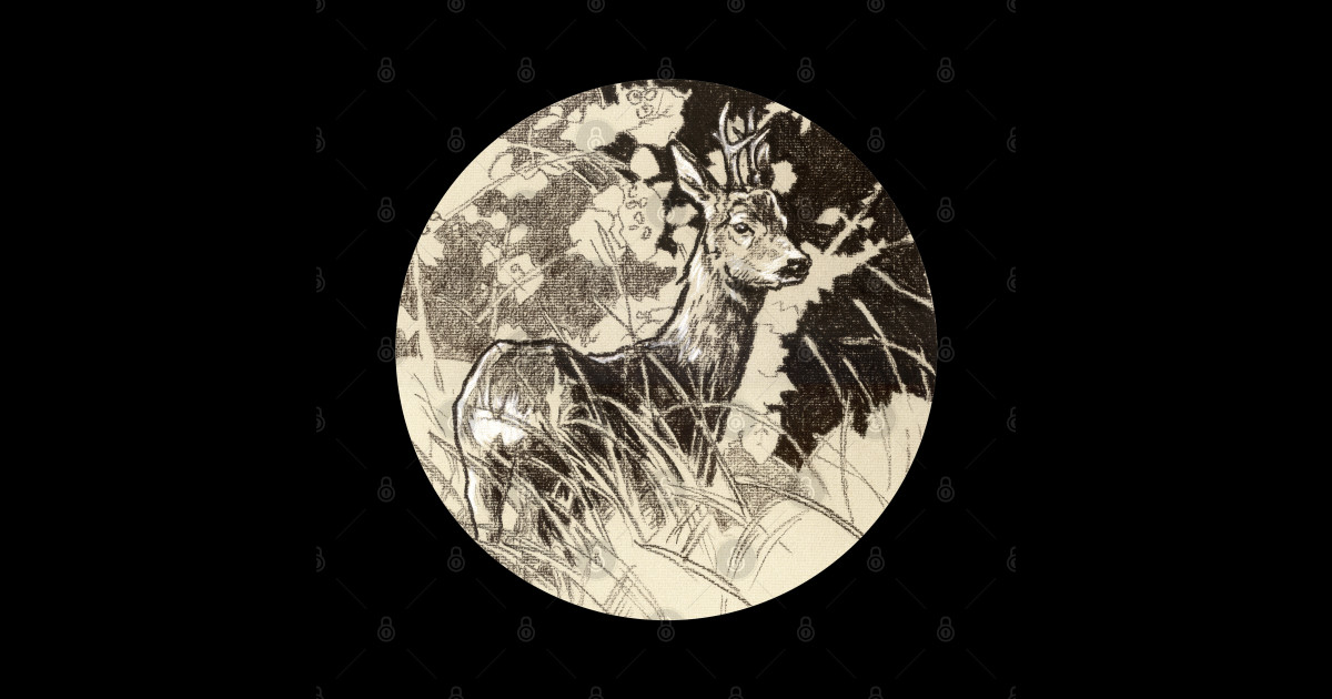 Roebuck in the field drawing - Roebuck - Sticker | TeePublic