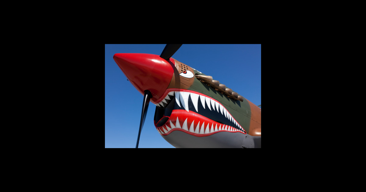 Flying tiger plane - P 40 - Posters and Art Prints | TeePublic