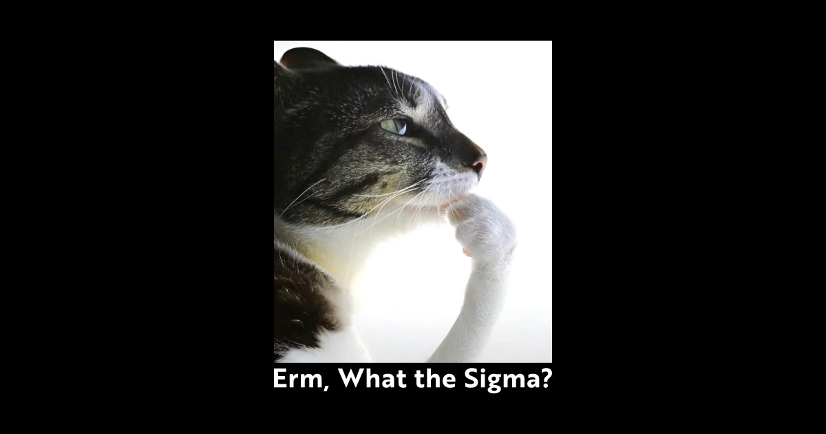 Erm What The Sigma - Erm What The Sigma - Sticker | TeePublic