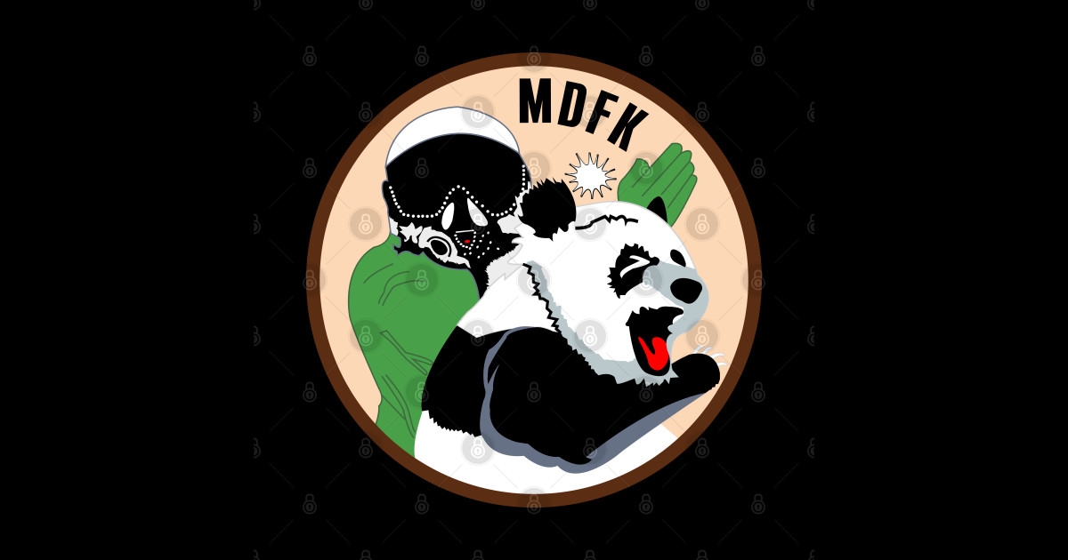 TAIWAN Airforce Punches Chinese Panda - Taiwan Airforce Badge - FIGHT ...