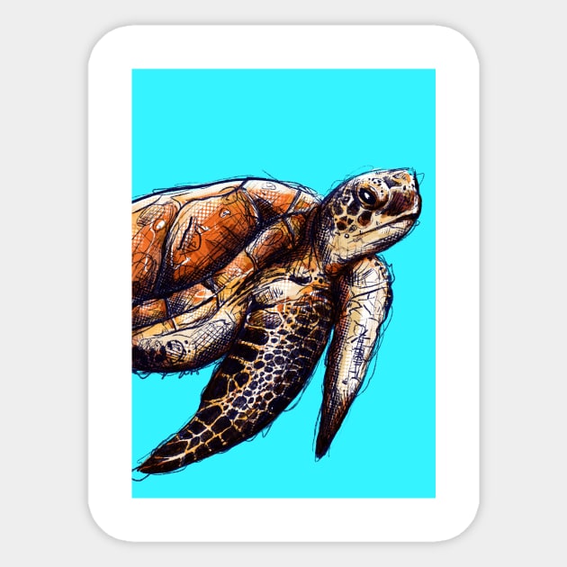 Green Sea Turtle - Green Sea Turtle - Sticker | TeePublic